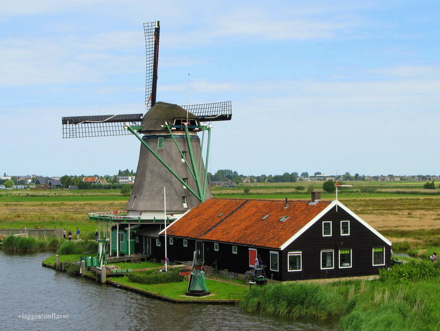 Visitare Zaanse Schans, il paese dei mulini a vento vicino Amsterdam ...